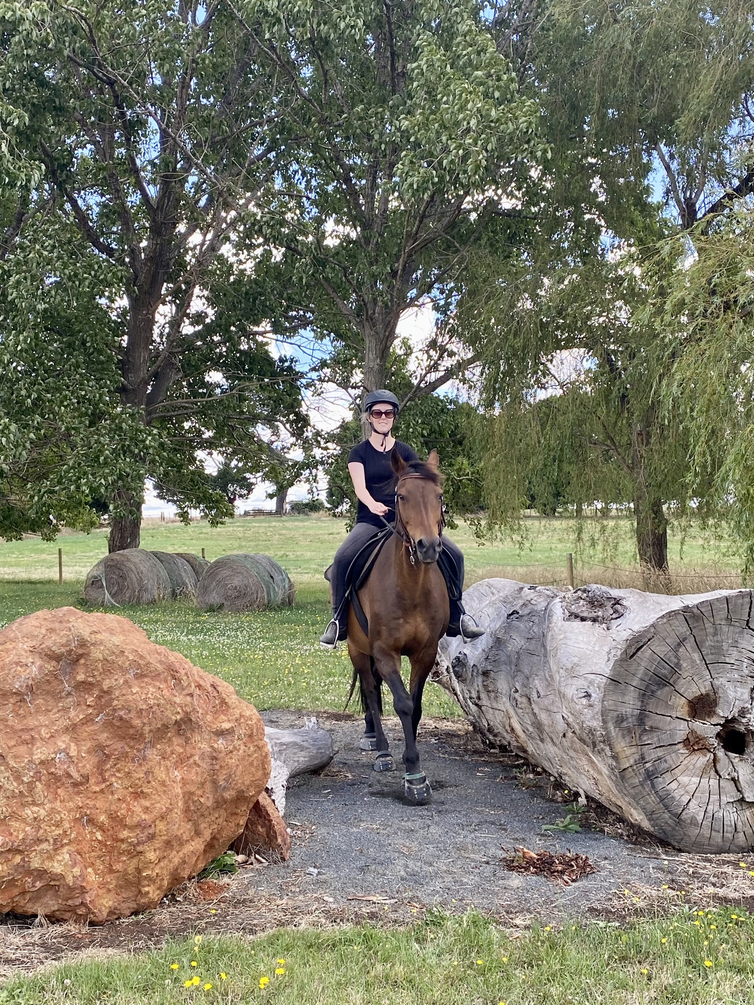 Mountain Trail Course – Valmont Farms