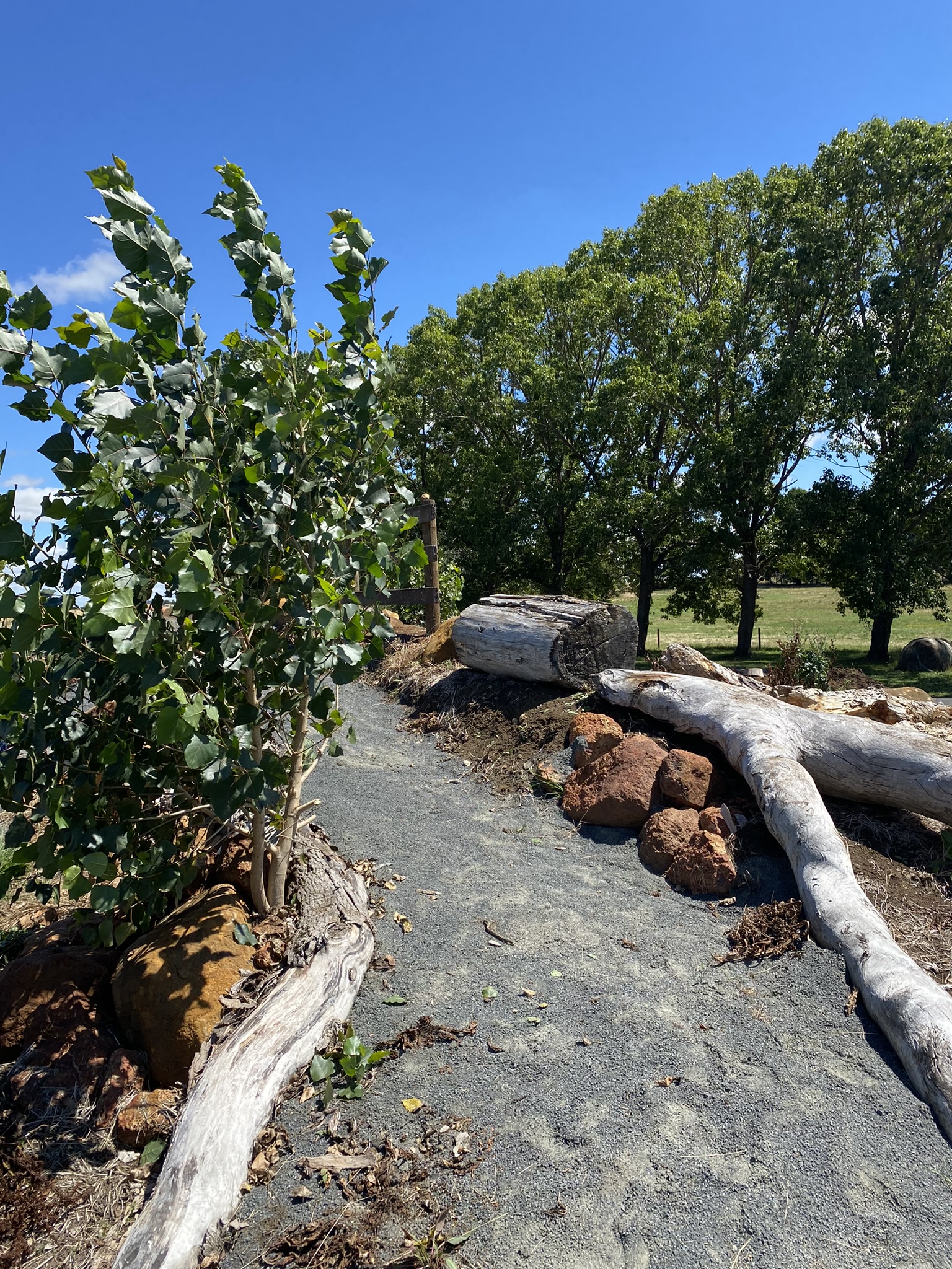 Mountain Trail Course – Valmont Farms